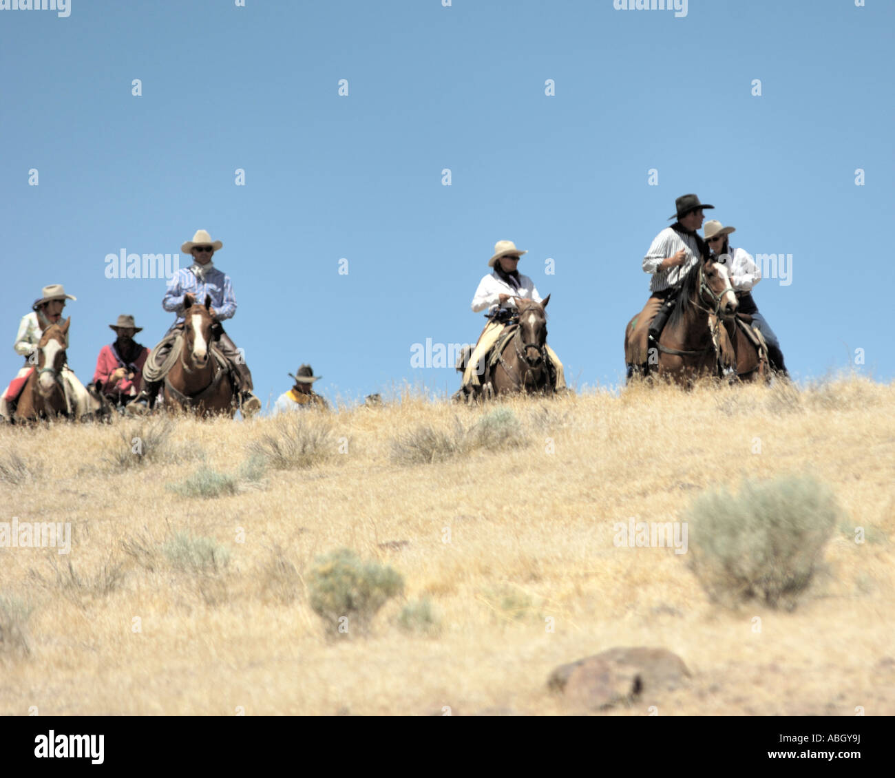 Old Western Cattle Drive High Resolution Stock Photography and Images ...