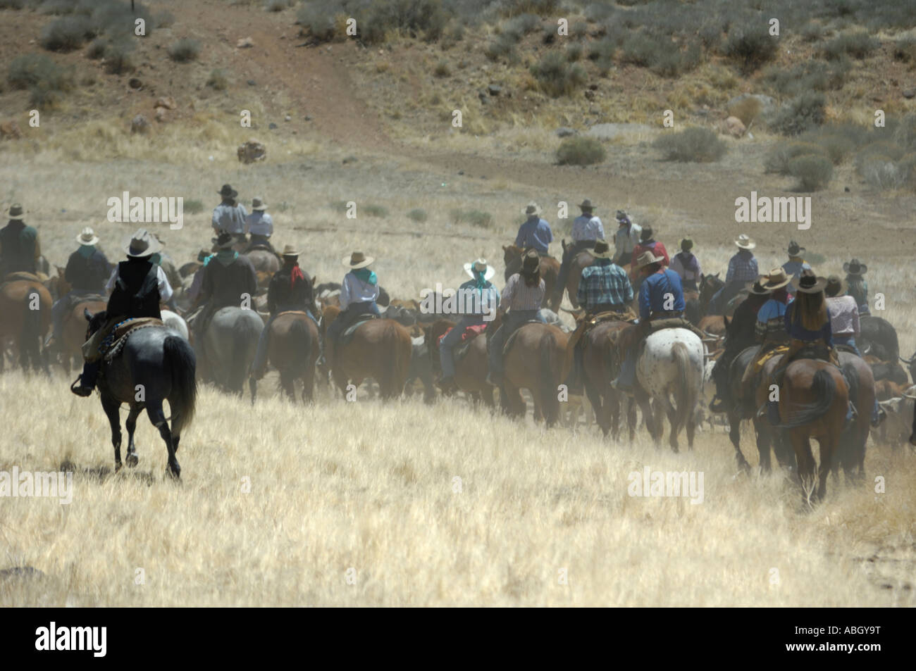 Cattle Drive Historical Stock Photos & Cattle Drive Historical Stock ...