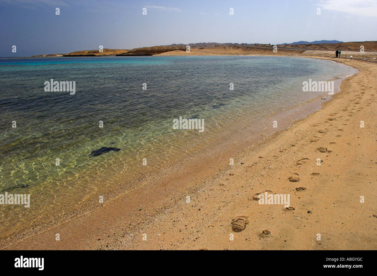 Beach and shallow coral bay Stock Photo - Alamy
