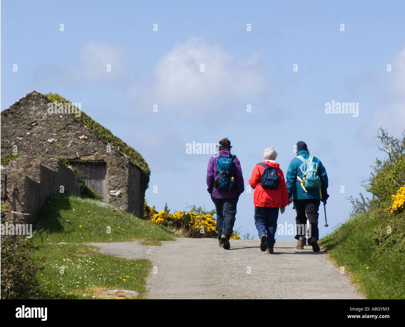 Welsh Ynys Mon Ramblers group of adult walkers walking on a country ...