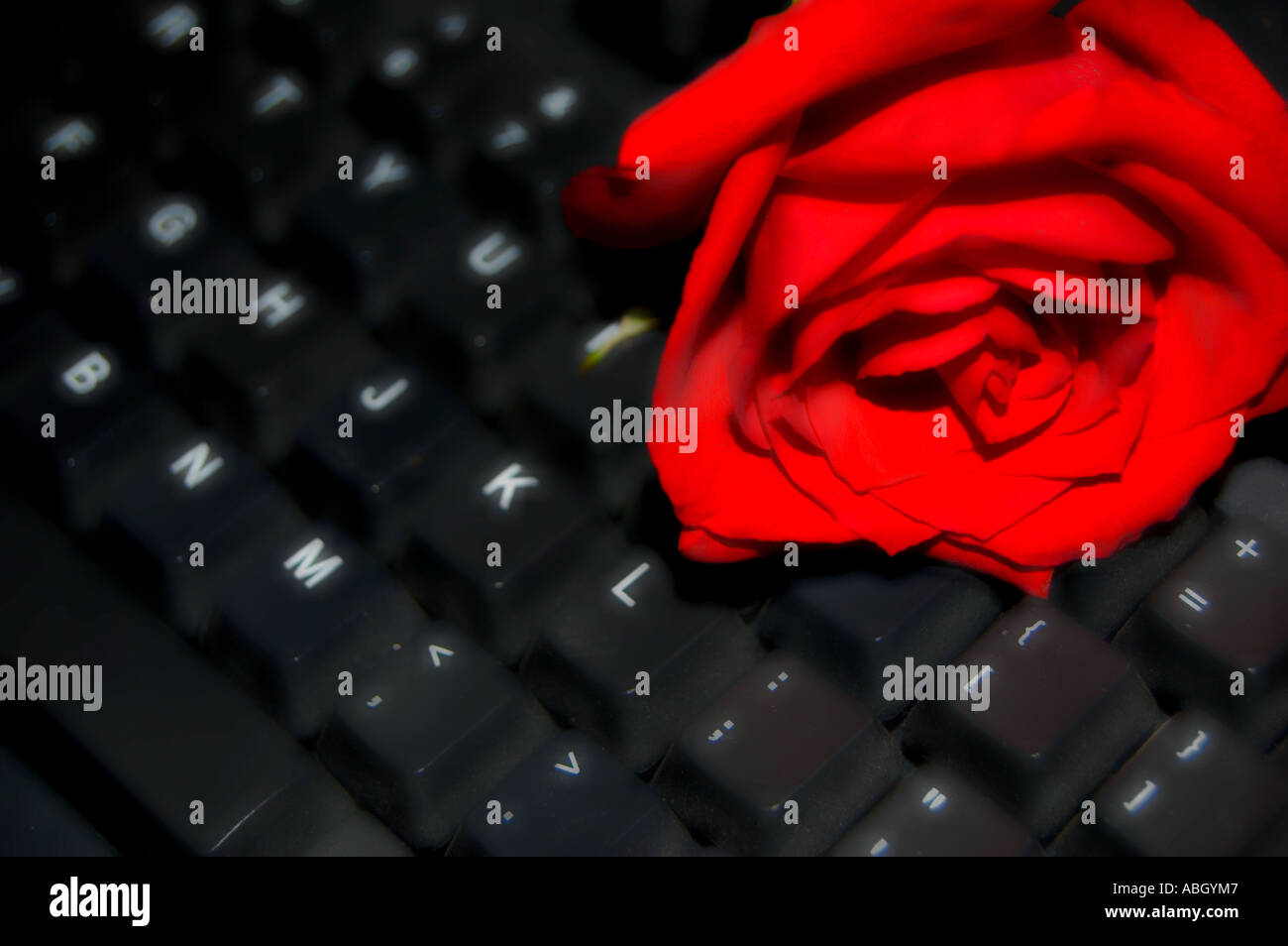 Rose keyboard hi-res stock photography and images - Alamy