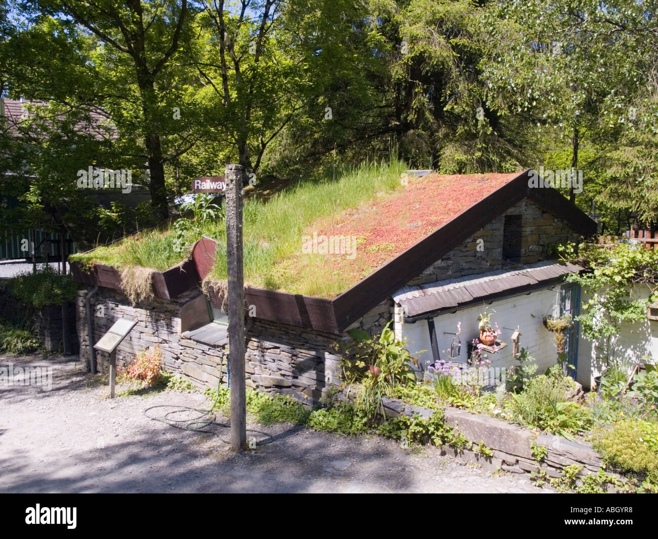 Cat machynlleth hi-res stock photography and images - Alamy