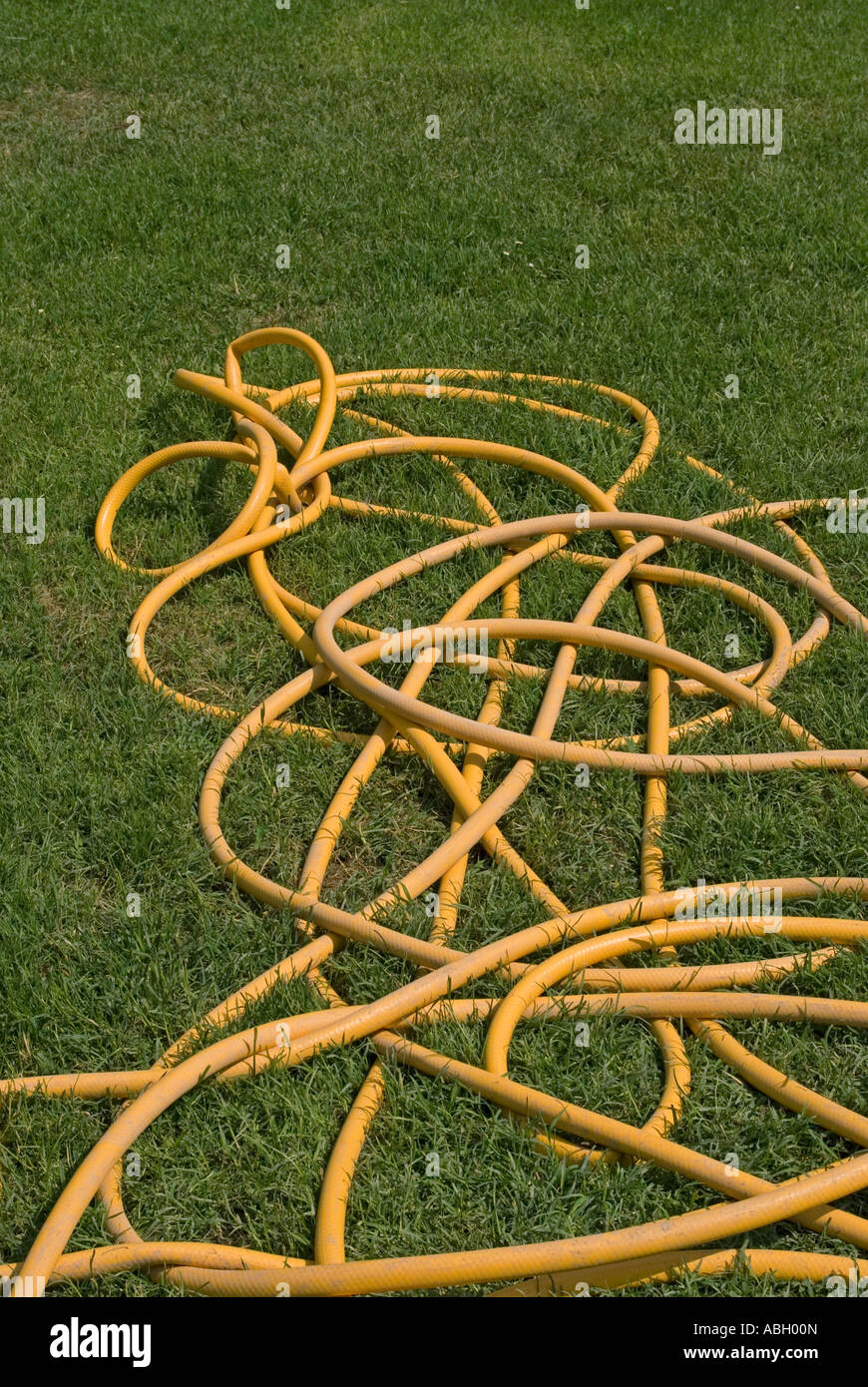 garden hose on the lawn Stock Photo - Alamy