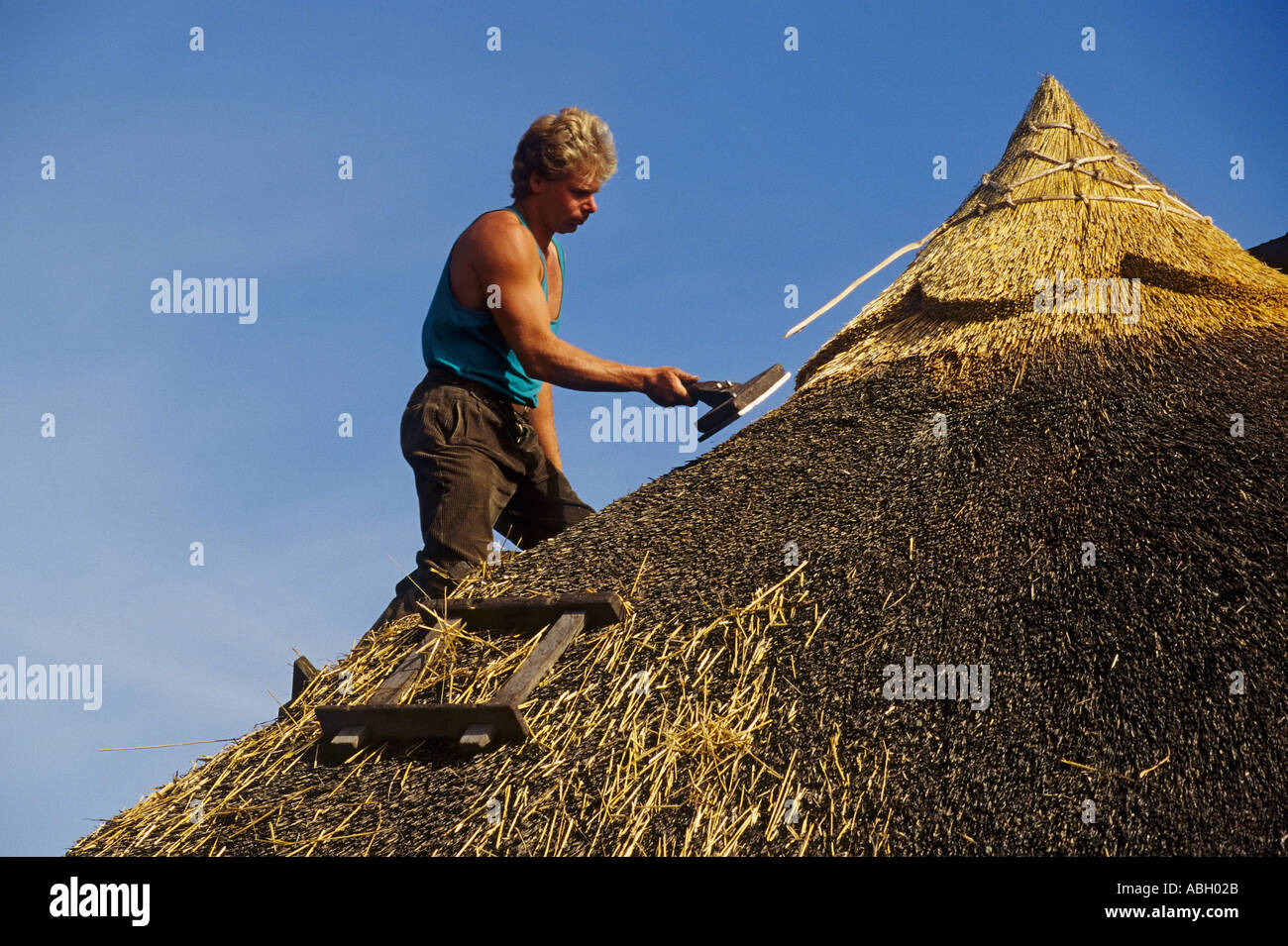 Master Thatcher High Resolution Stock Photography and Images - Alamy
