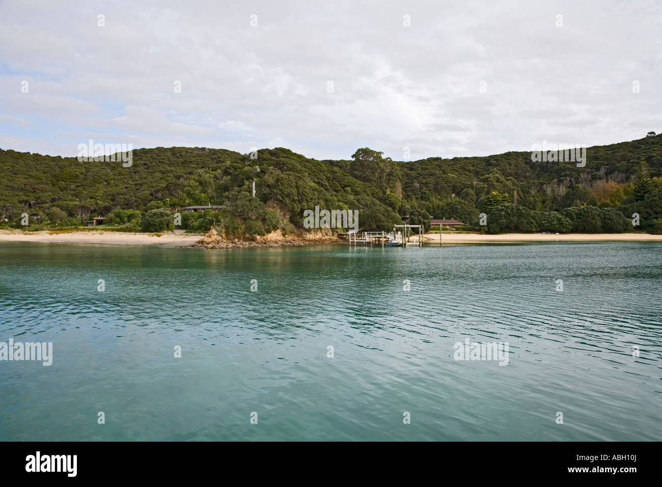 BAY OF ISLANDS NORTH ISLAND NEW ZEALAND May Motukiekie Island in the ...