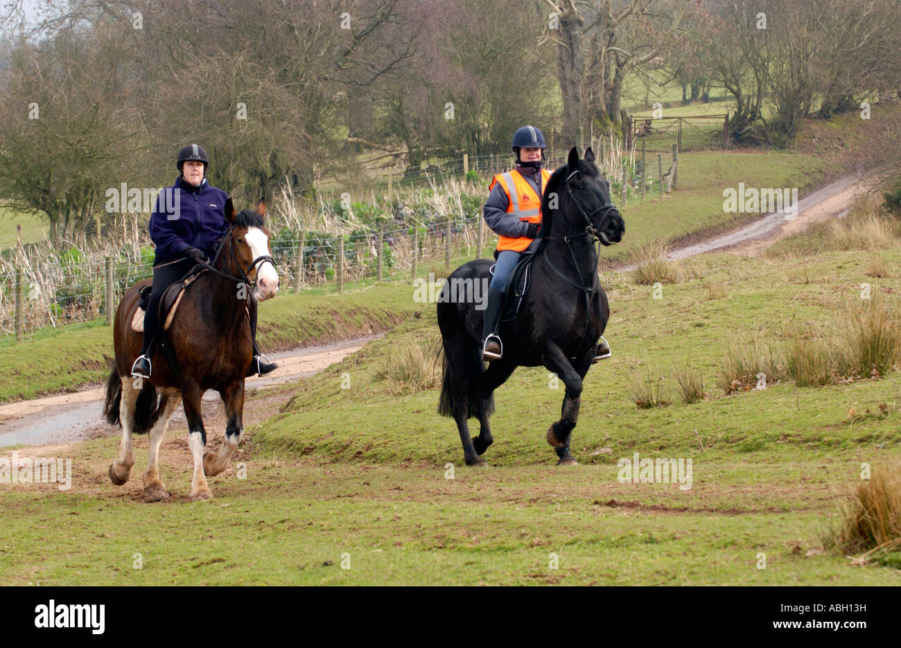 Pony trekking uk hi-res stock photography and images - Alamy