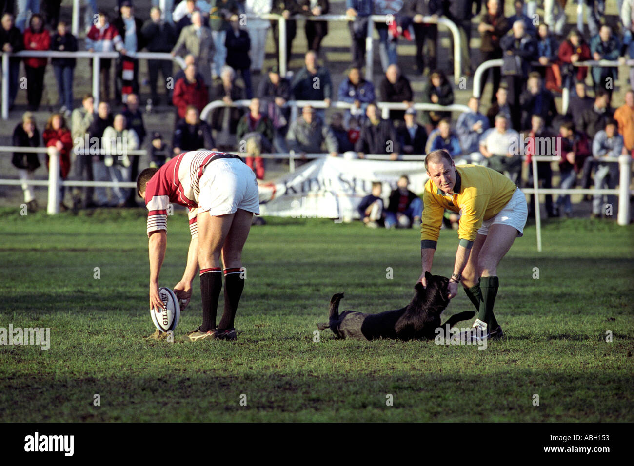 Pontypool rfc hi-res stock photography and images - Alamy