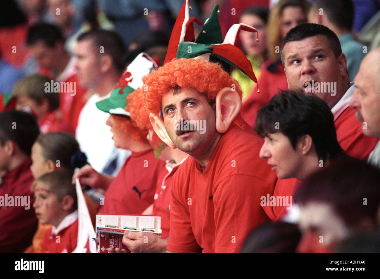 Welsh rugby fans one with ginger wig and big ears at an international ...