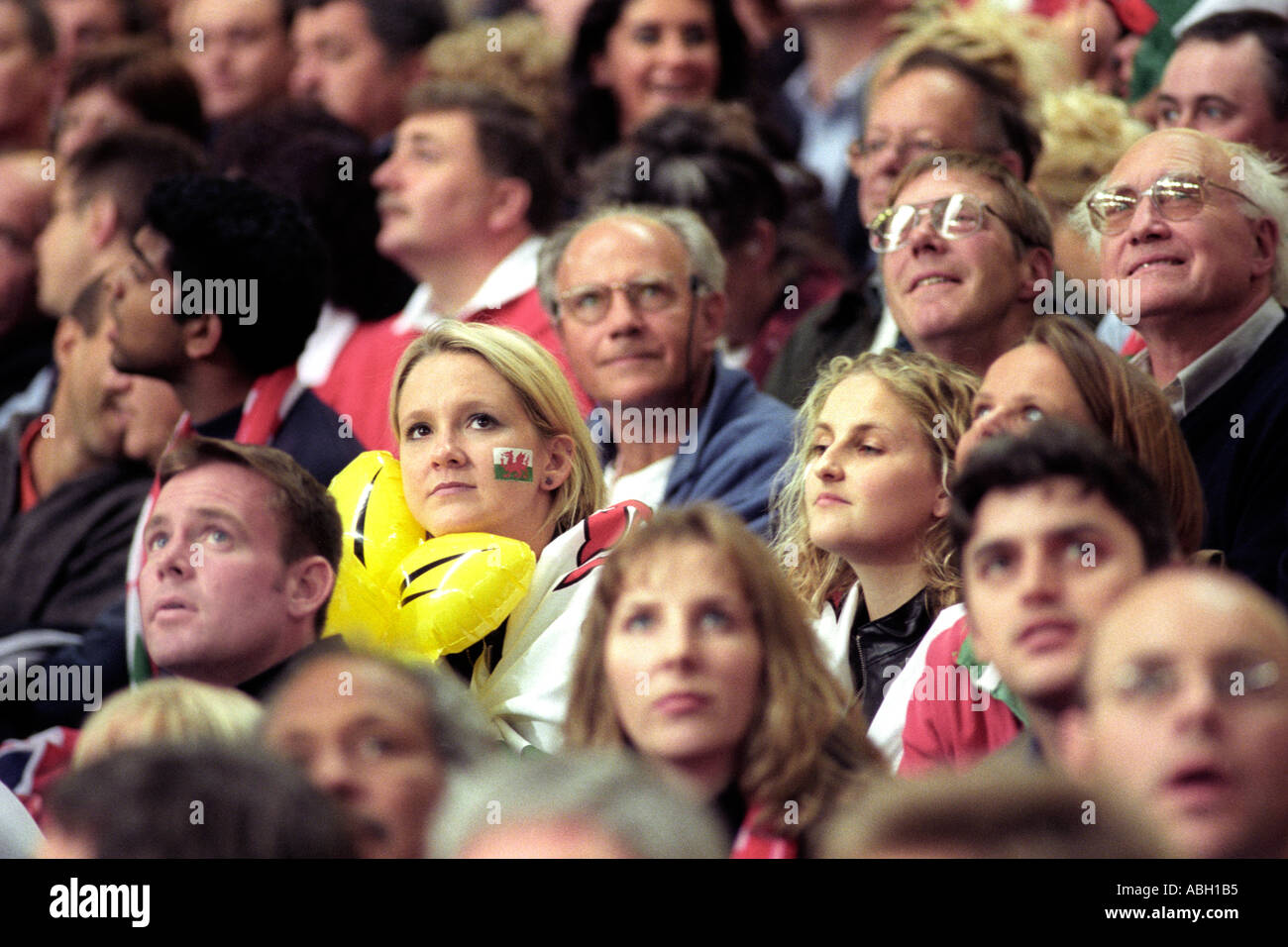 Welsh rugby fans watching Wales play an international match at the ...