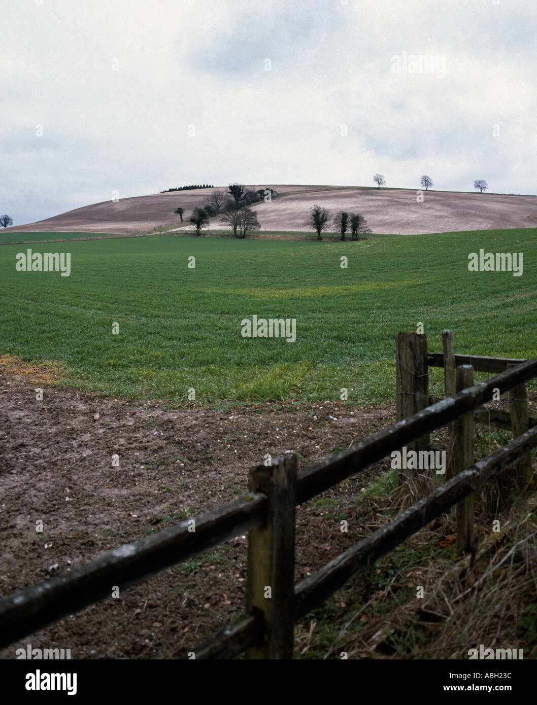 the wide open spaces in england Stock Photo - Alamy