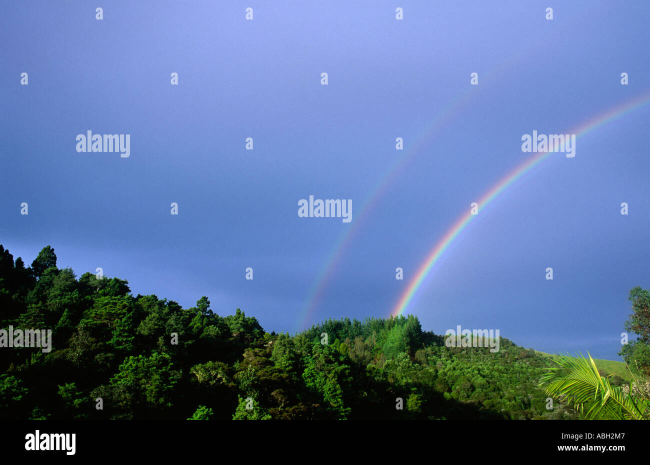 Double Rainbow Northland North Island New Zealand Stock Photo - Alamy