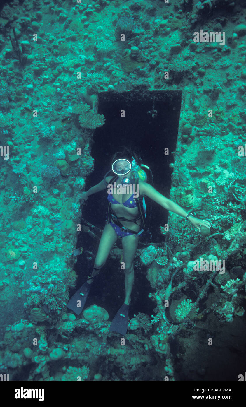 Babs Jackson diving in a polka dot bikini on the Umbria Wreck Port ...