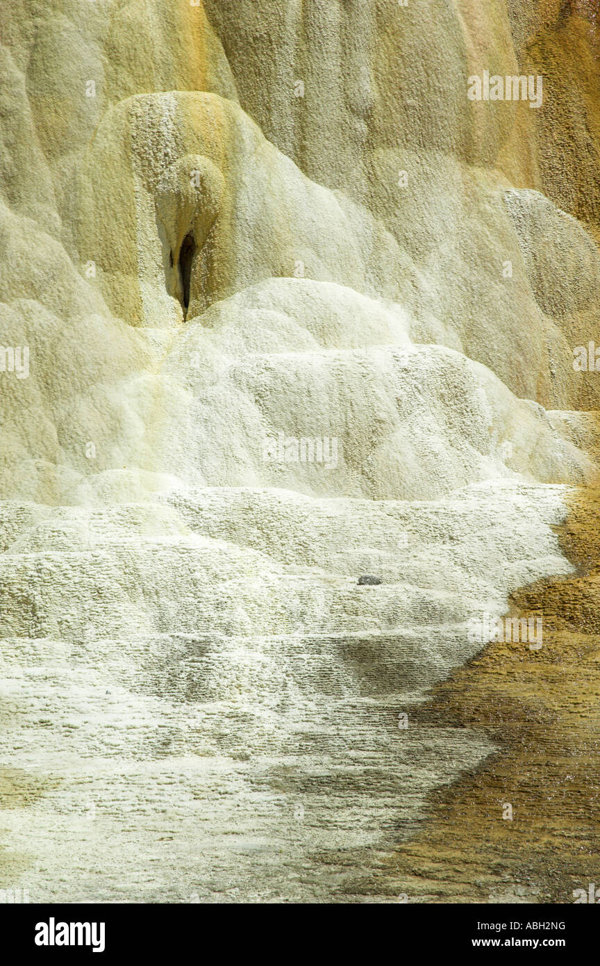 Orange spring mound Mammoth hot Springs Yellowstone National Park ...