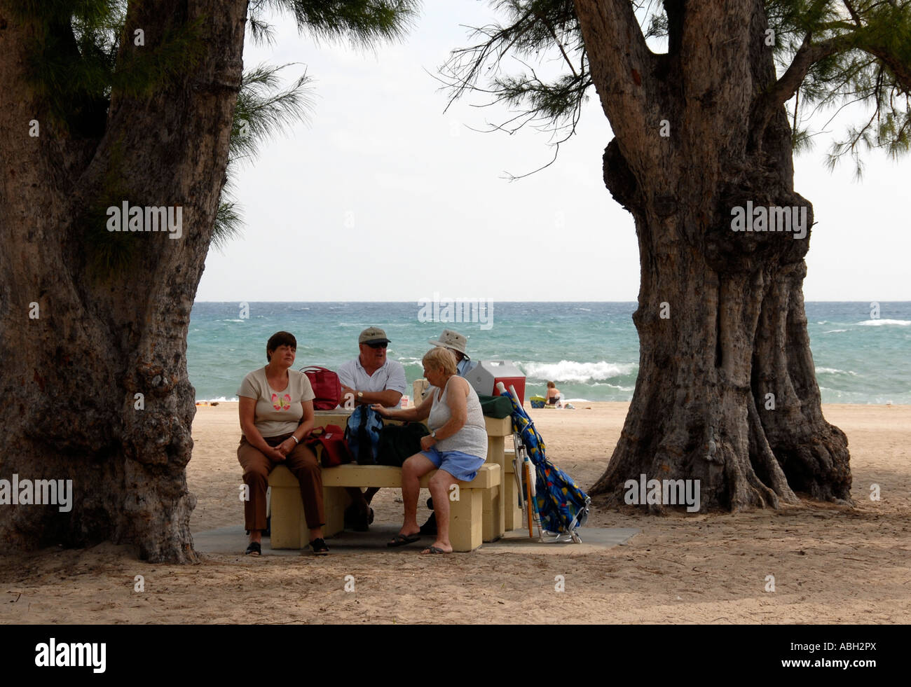 Family outing on Florida beach Stock Photo - Alamy