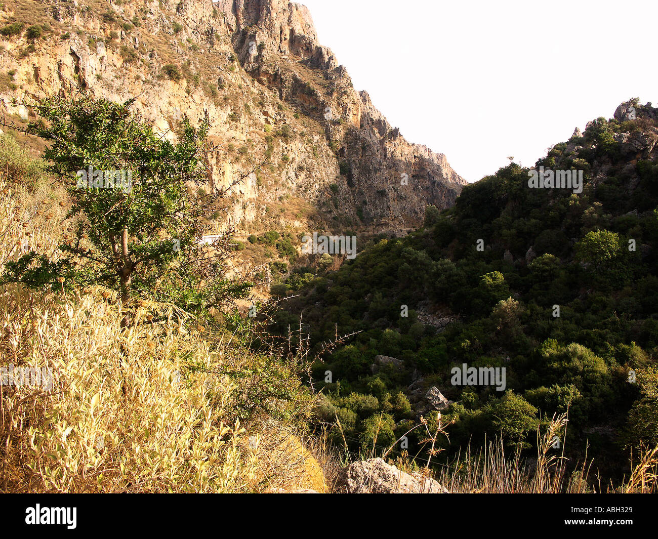 Mountain Gorge Crete Stock Photo - Alamy