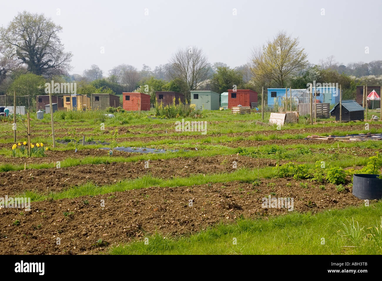 Allotments uk working hi-res stock photography and images - Alamy