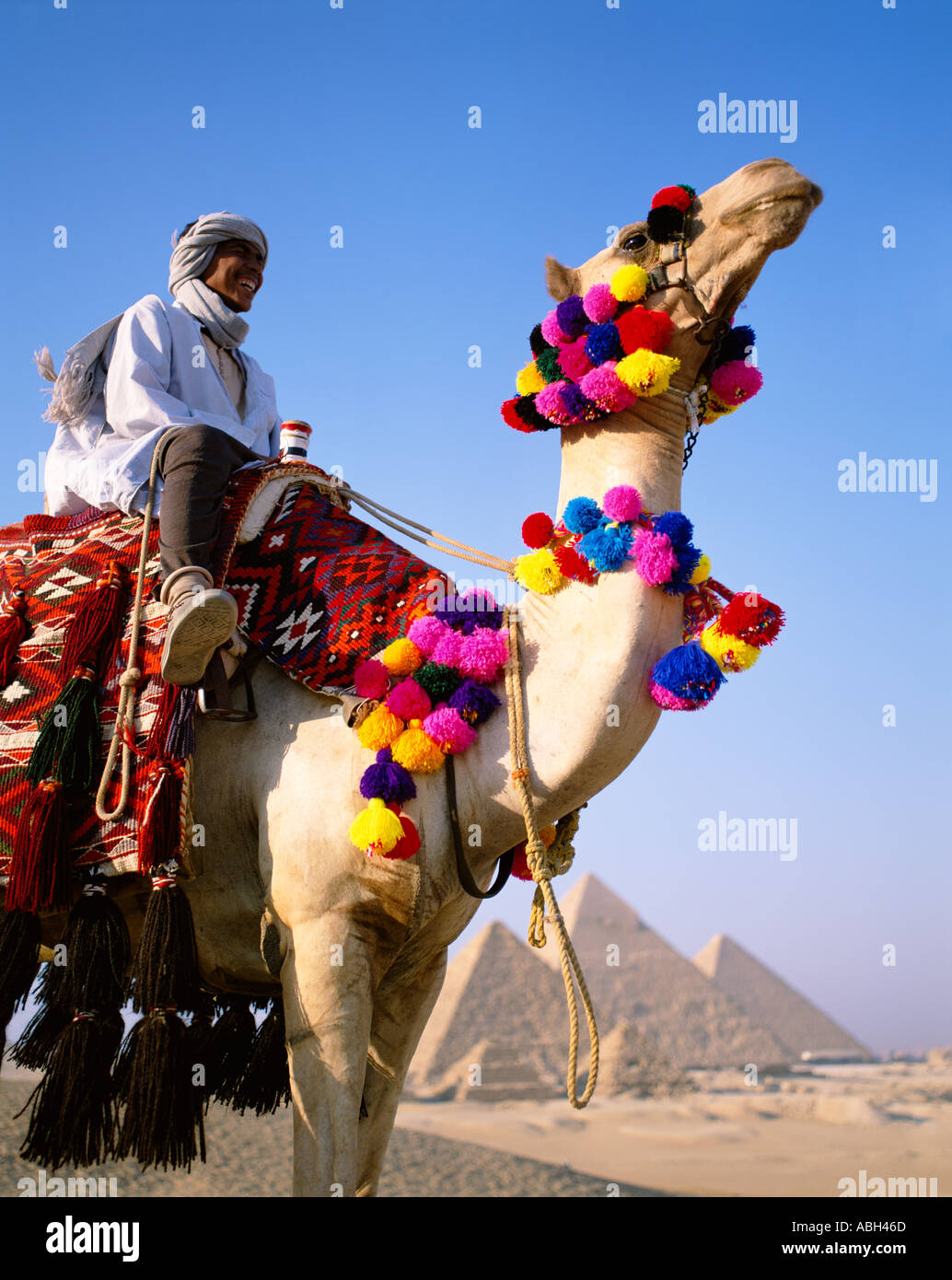 Camel Rider and the Great pyramids Stock Photo - Alamy