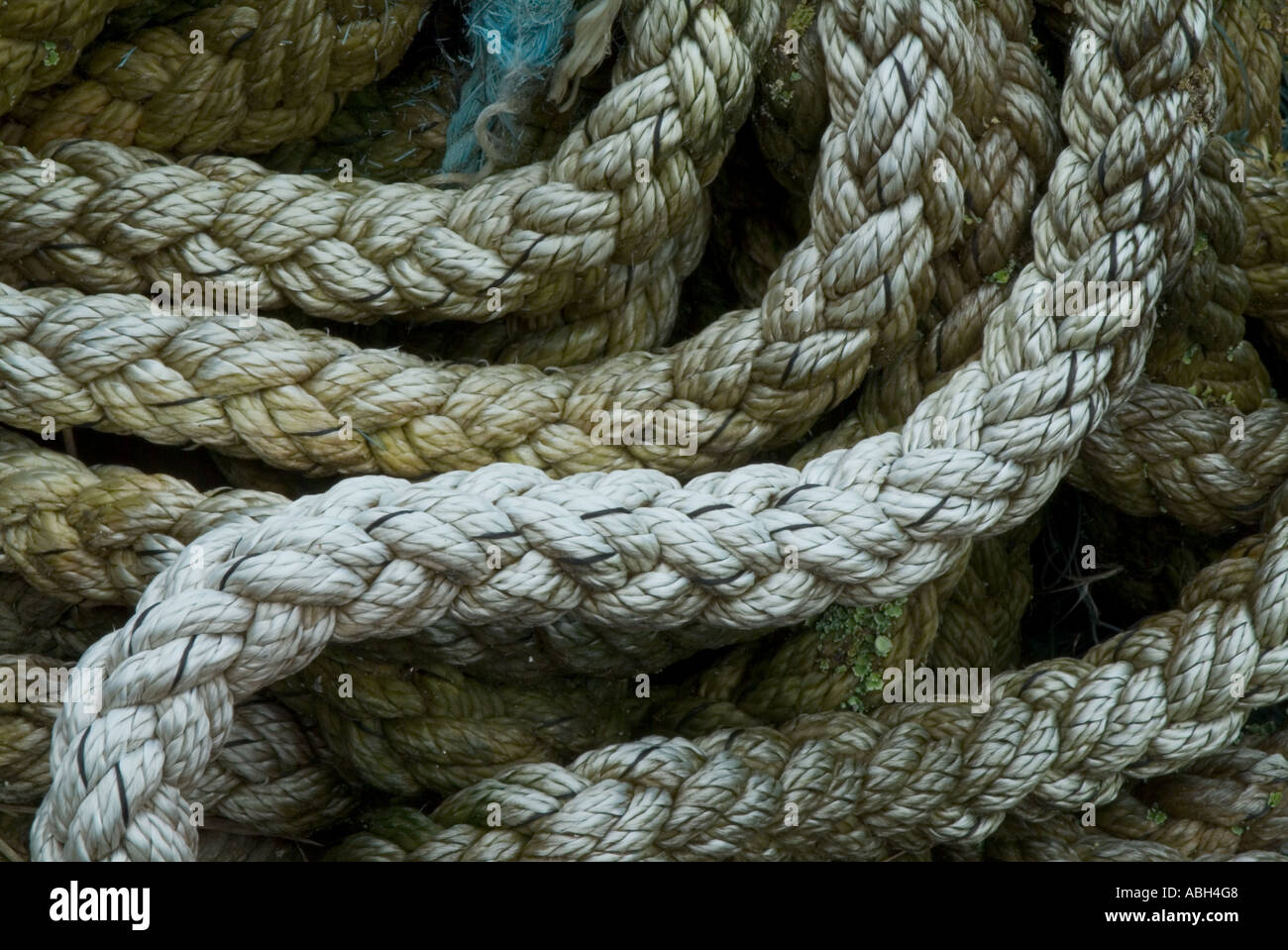 Strands of rope hi-res stock photography and images - Alamy