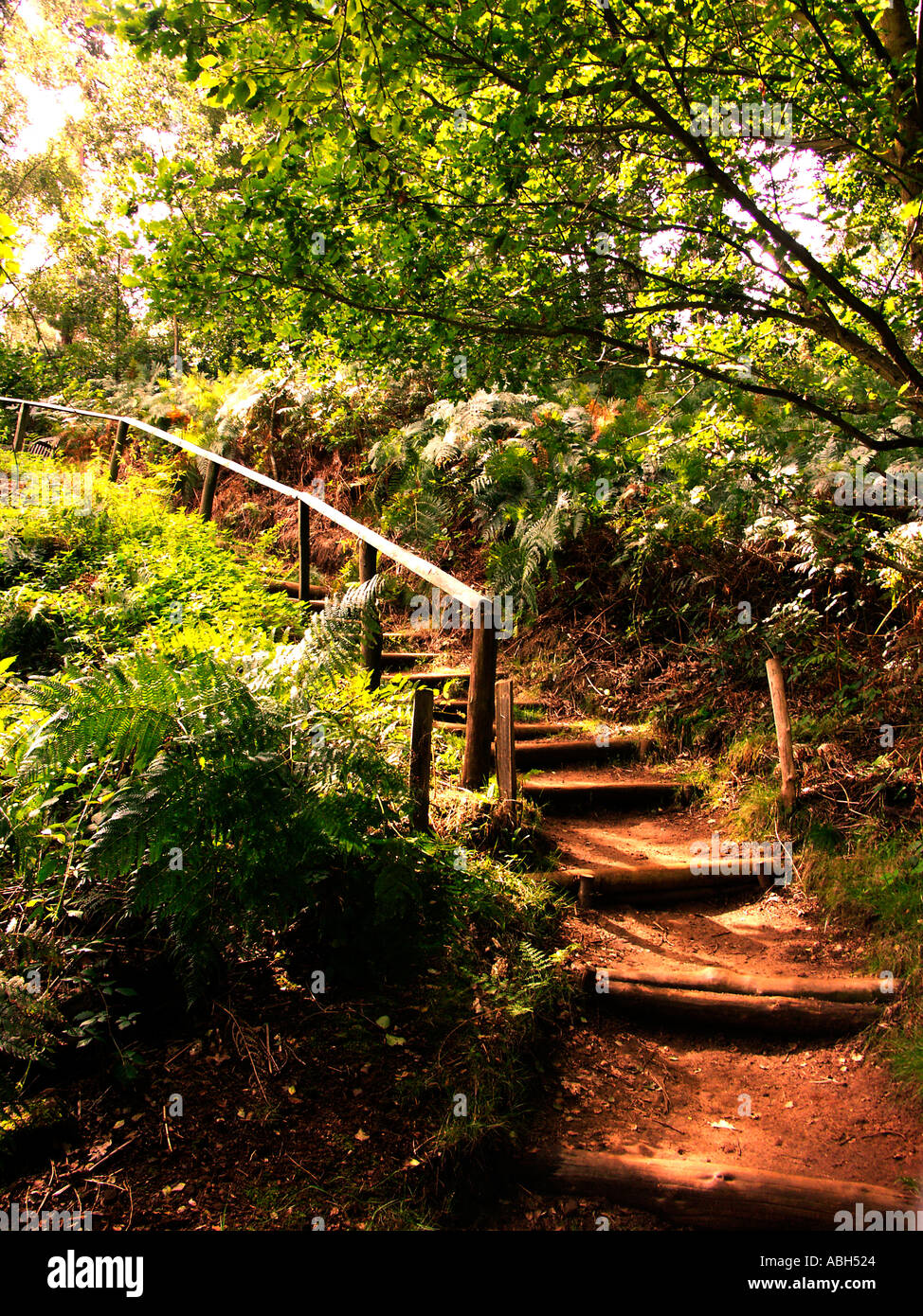 Rspb sandy bedfordshire hi-res stock photography and images - Alamy