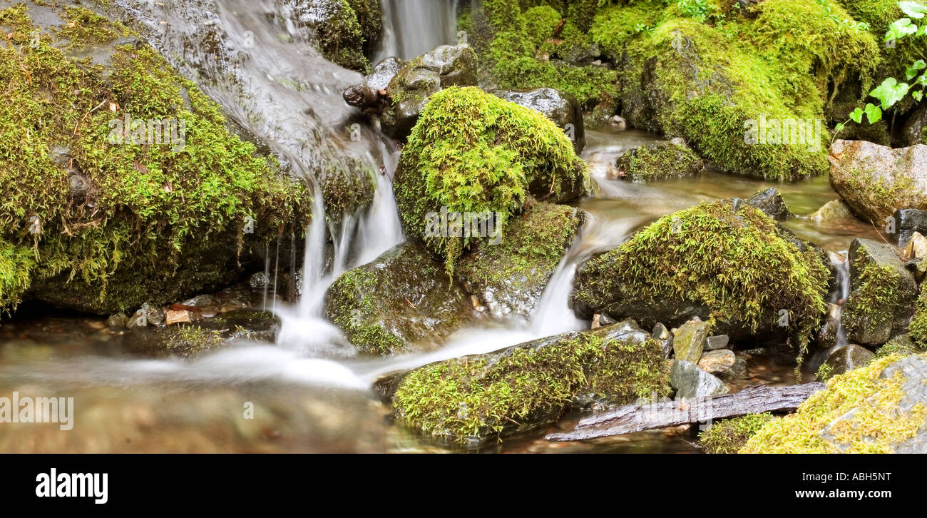 Moss covered rocks gentle waterfall hi-res stock photography and images ...