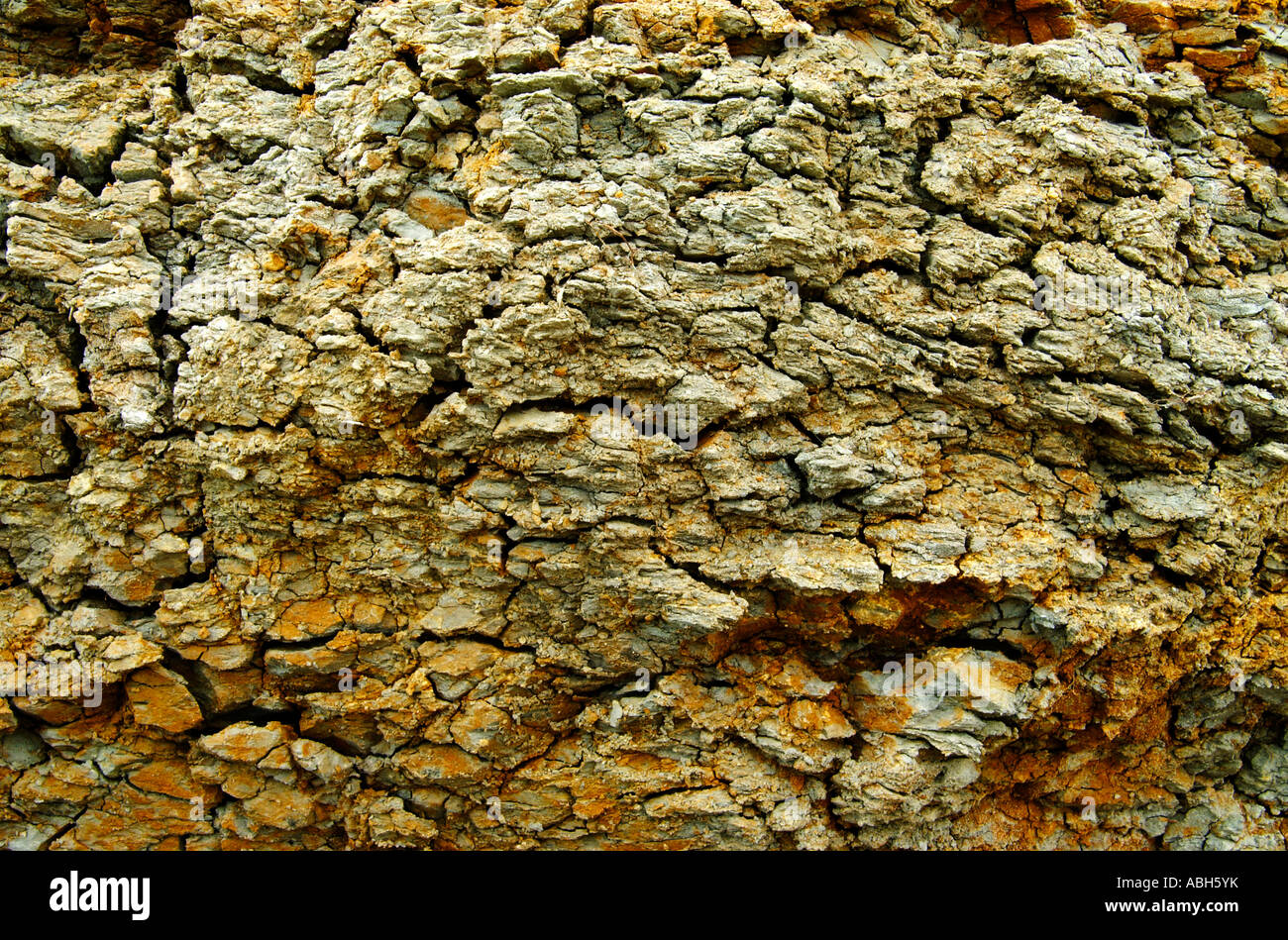 Dried layers of soil hi-res stock photography and images - Alamy