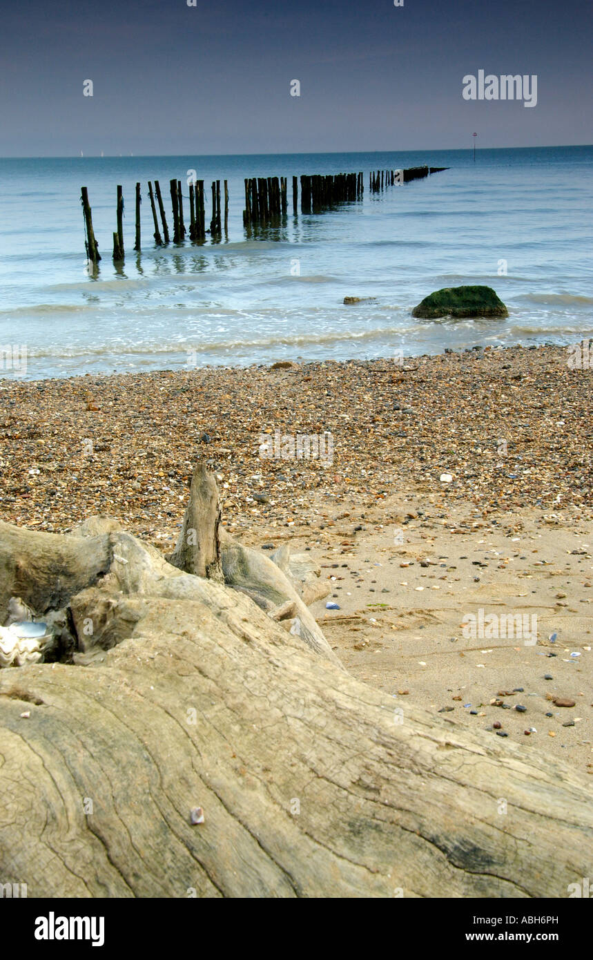 Groin water waves beach poles hi-res stock photography and images - Alamy