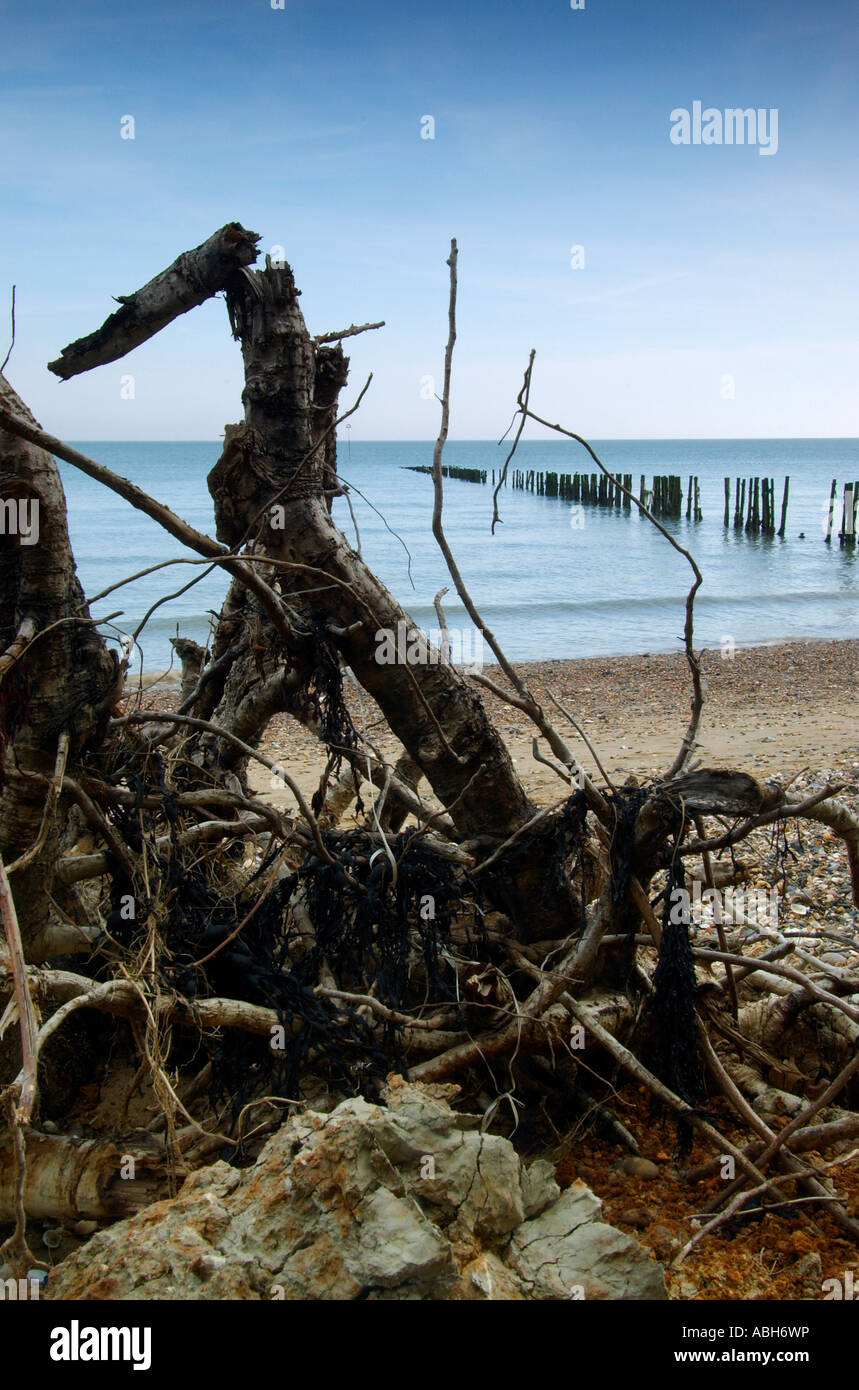 Groin water waves beach poles hi-res stock photography and images - Alamy