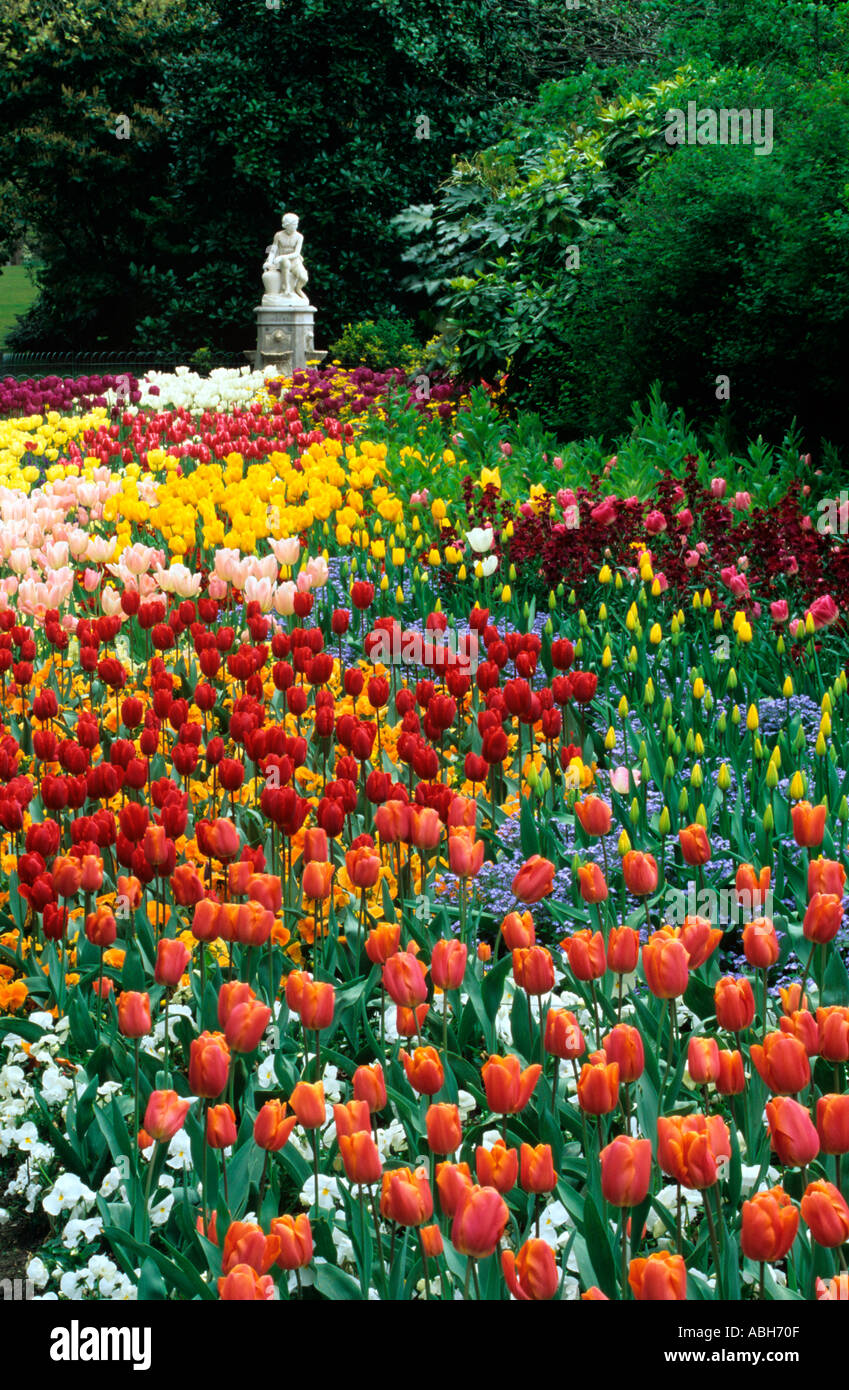 St James Park London Spring Flowers Stock Photo - Alamy