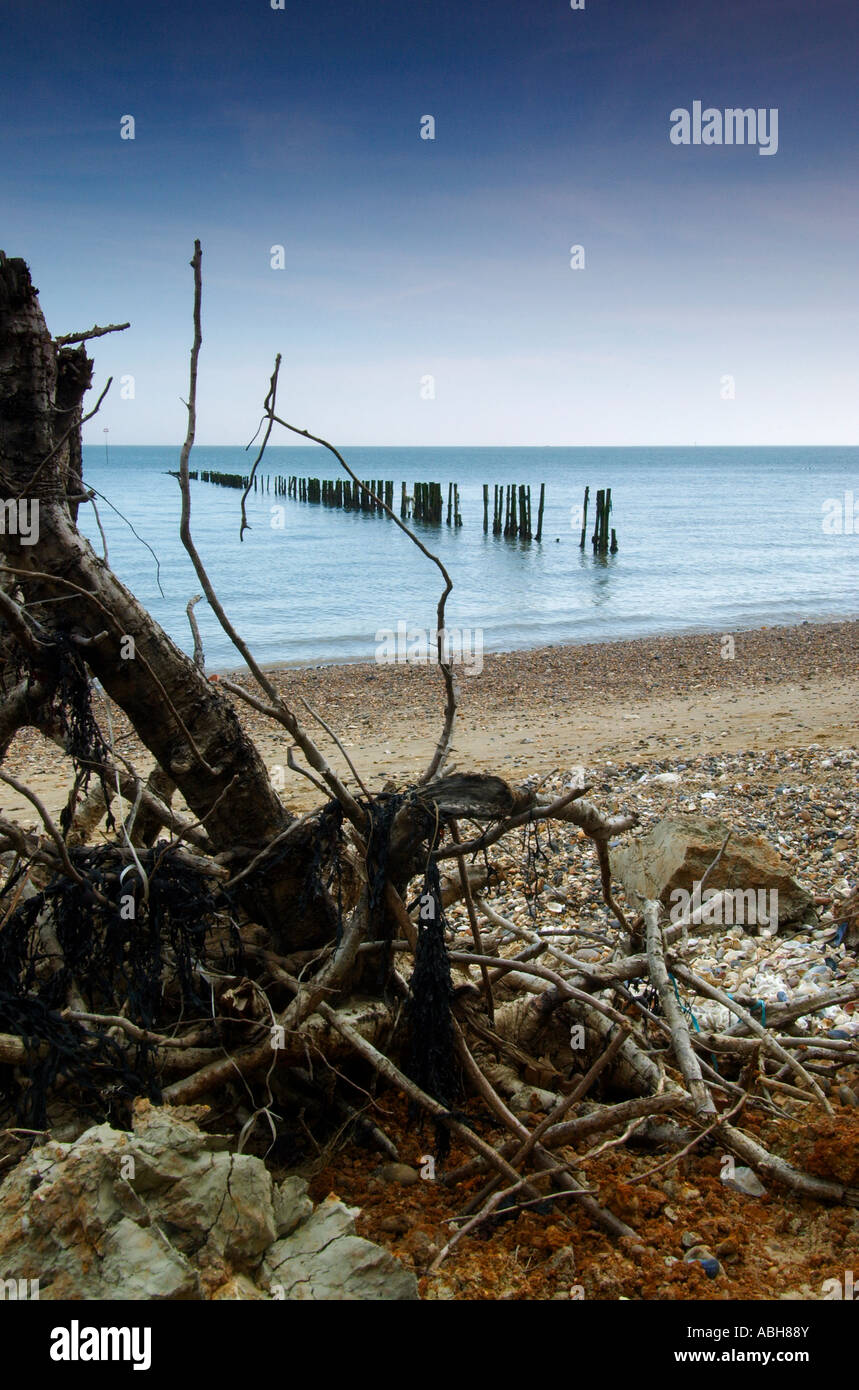 Groin water waves beach poles hi-res stock photography and images - Alamy