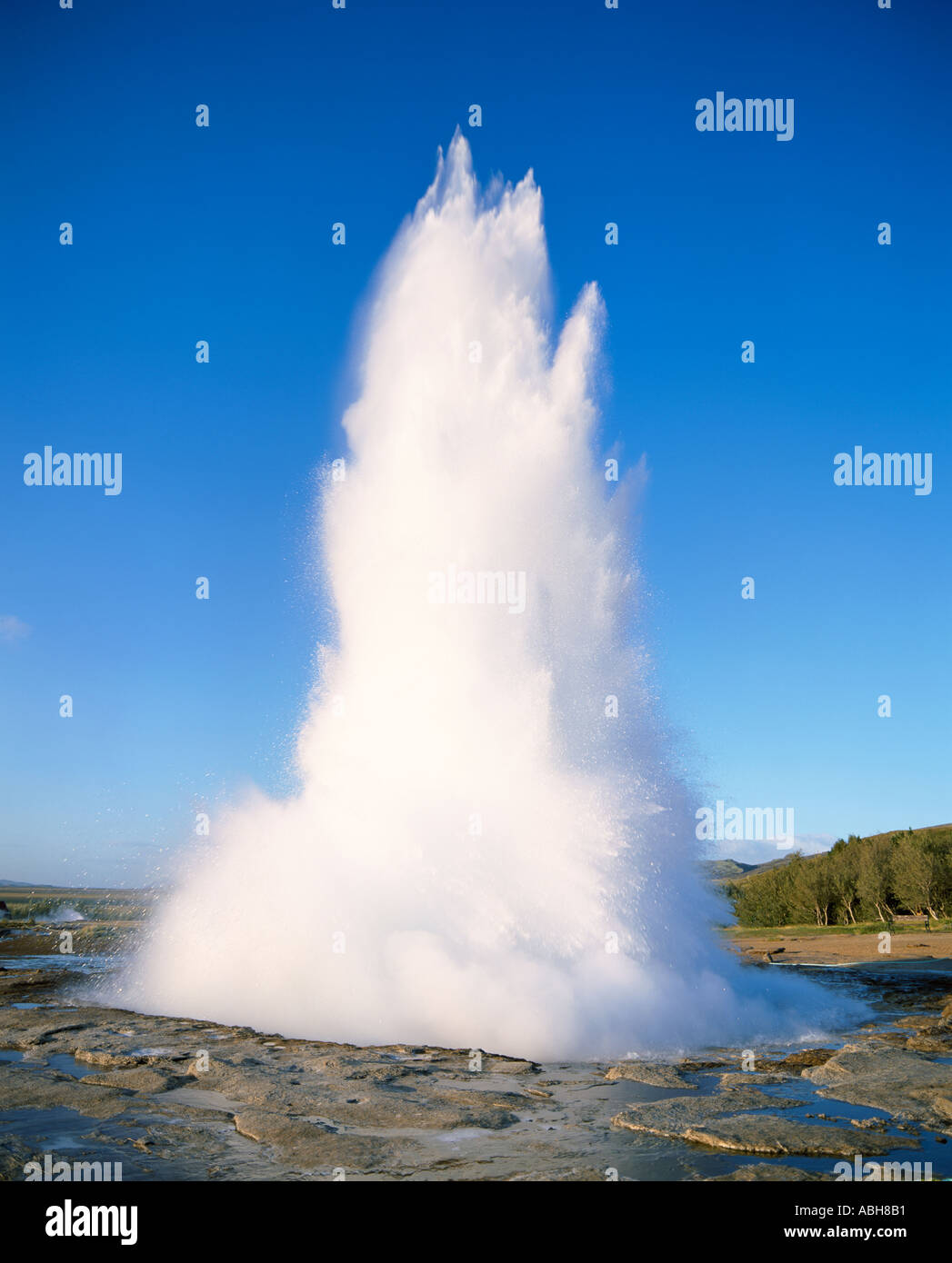 Geyser thermal area southwest iceland Stock Photo - Alamy
