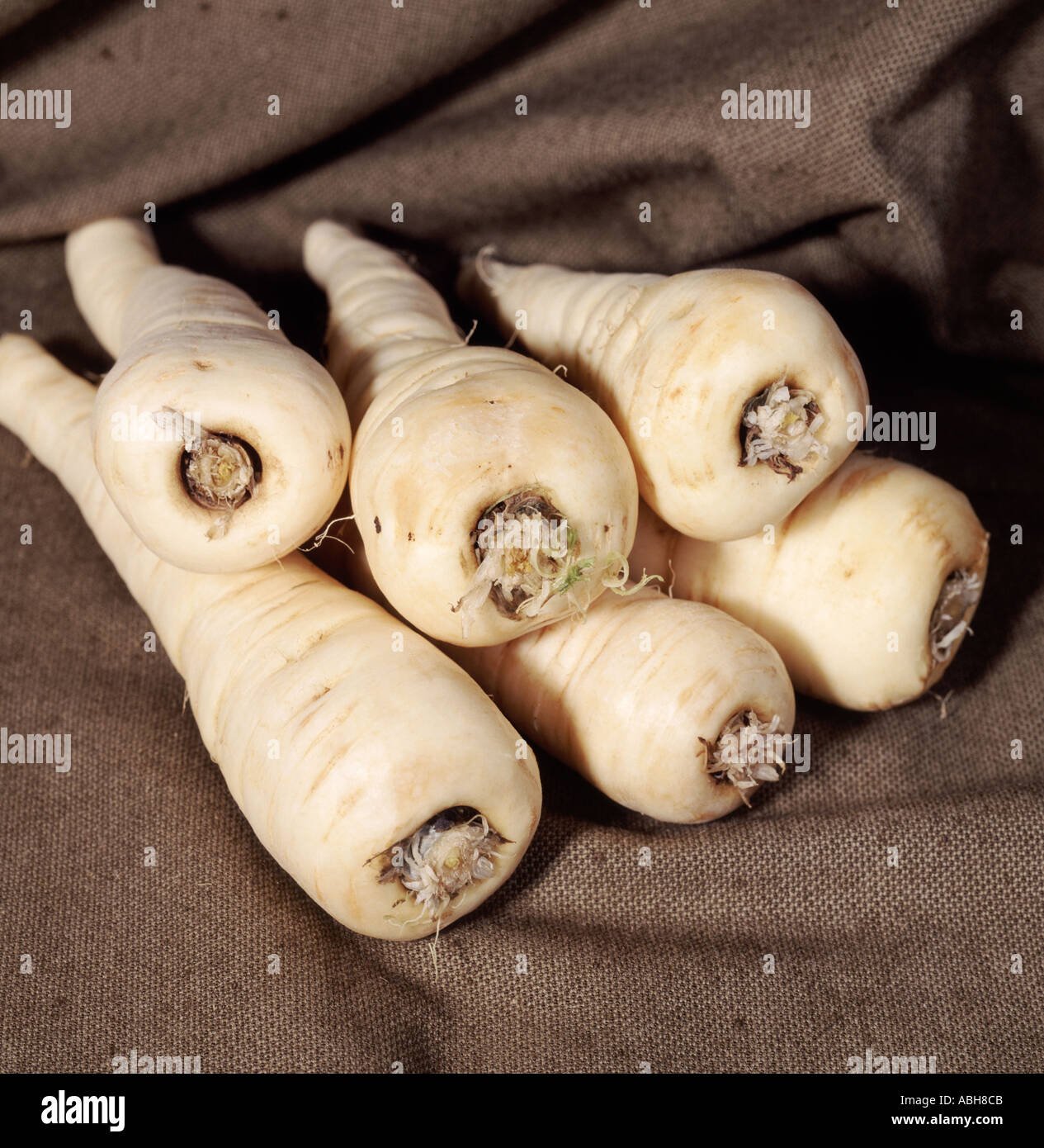 Raw parsnips on a cloth background Stock Photo - Alamy