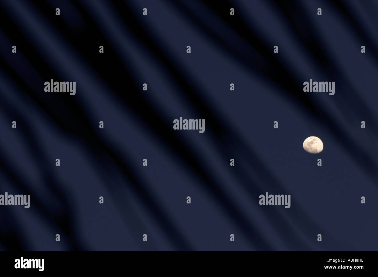 Moon through palm tree hi-res stock photography and images - Alamy