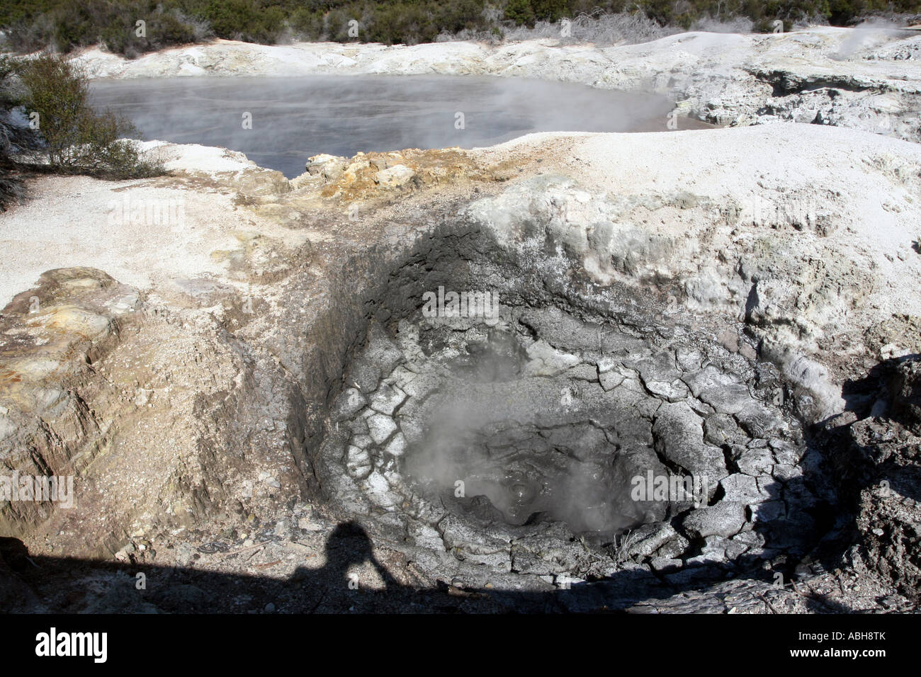Hell's gate geothermal site located in Rotorua, New Zealand Stock Photo ...