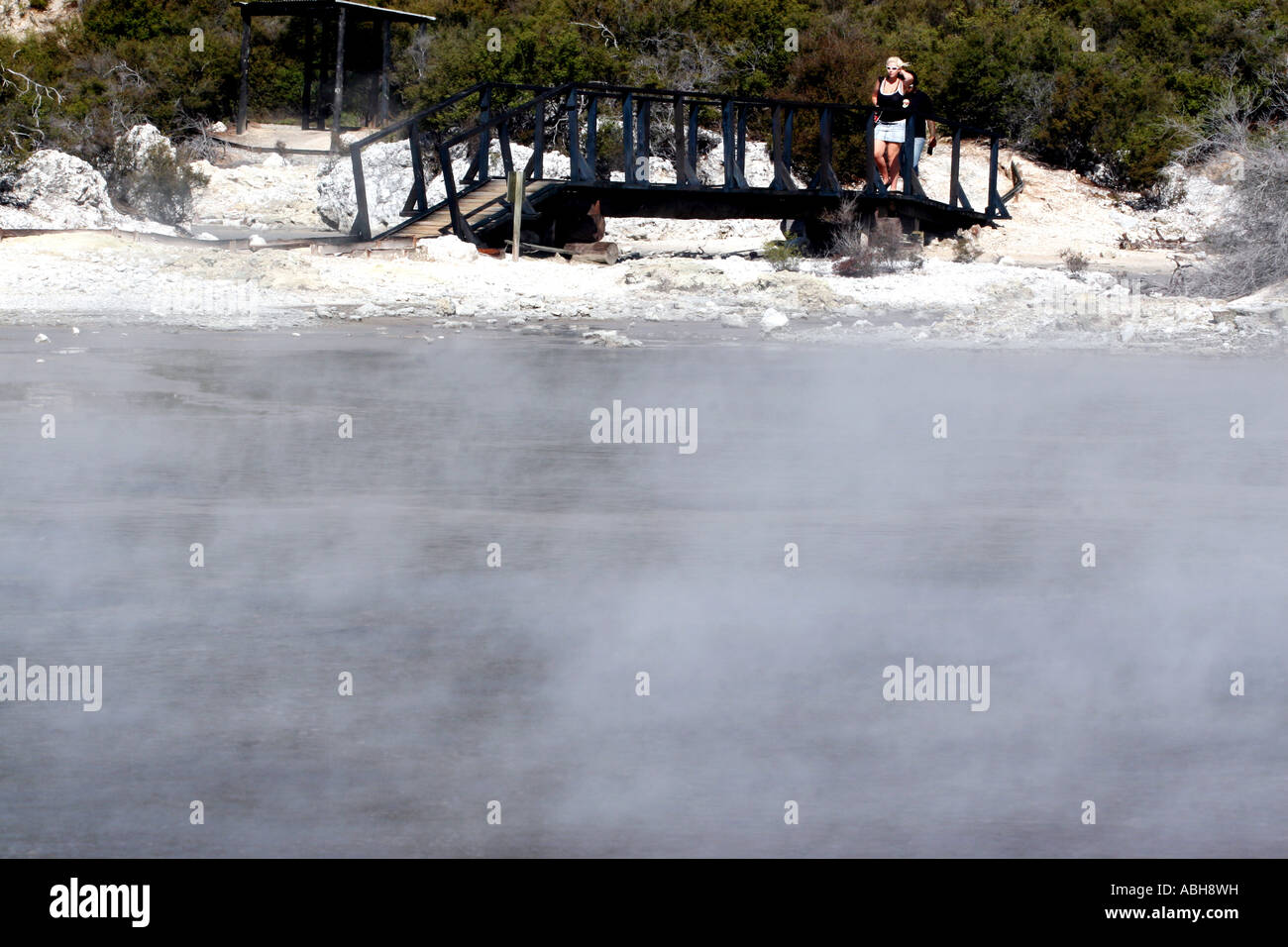 Hells gate new zealand hi-res stock photography and images - Alamy