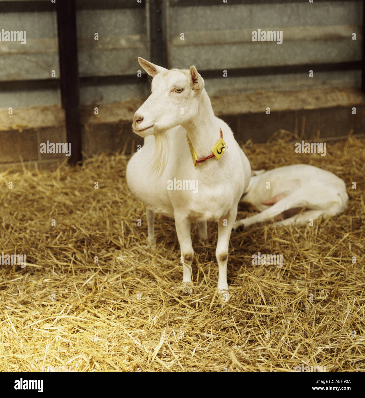 Open sided barn hi-res stock photography and images - Alamy