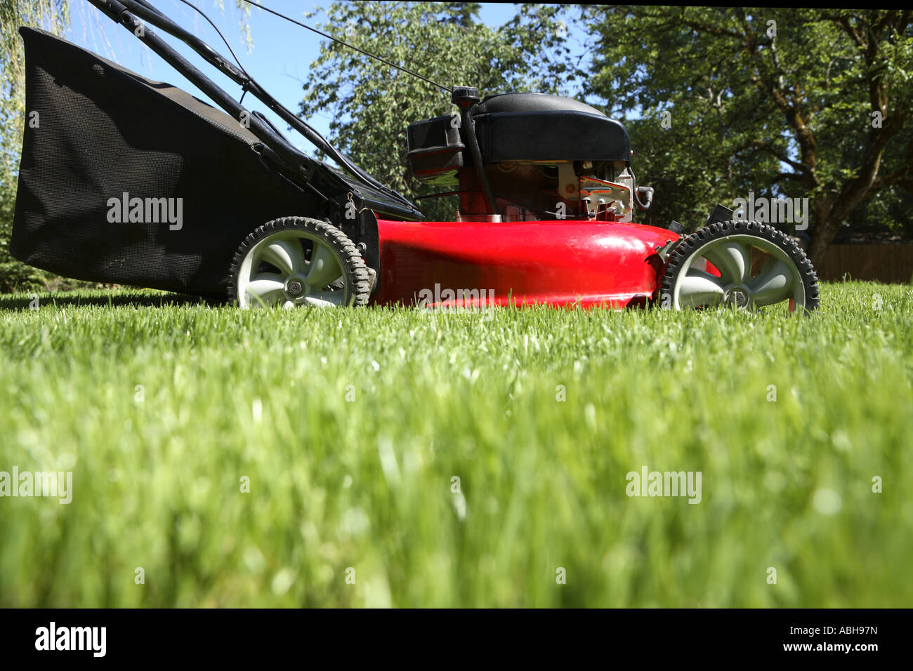 Lawnmower mowing grass Stock Photo - Alamy