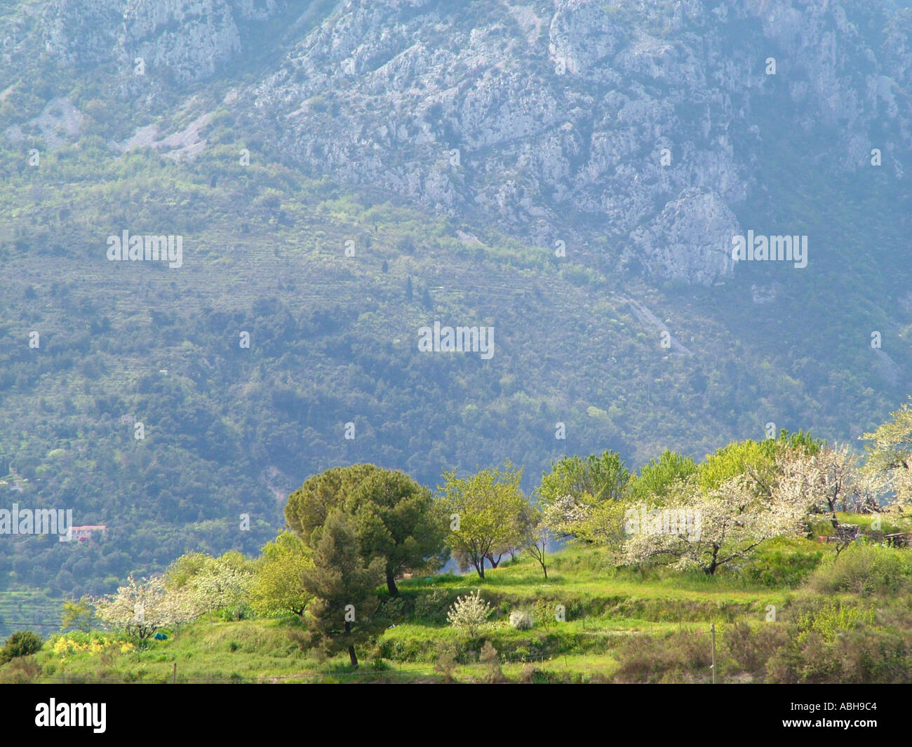 Italy landscape spring hi-res stock photography and images - Alamy
