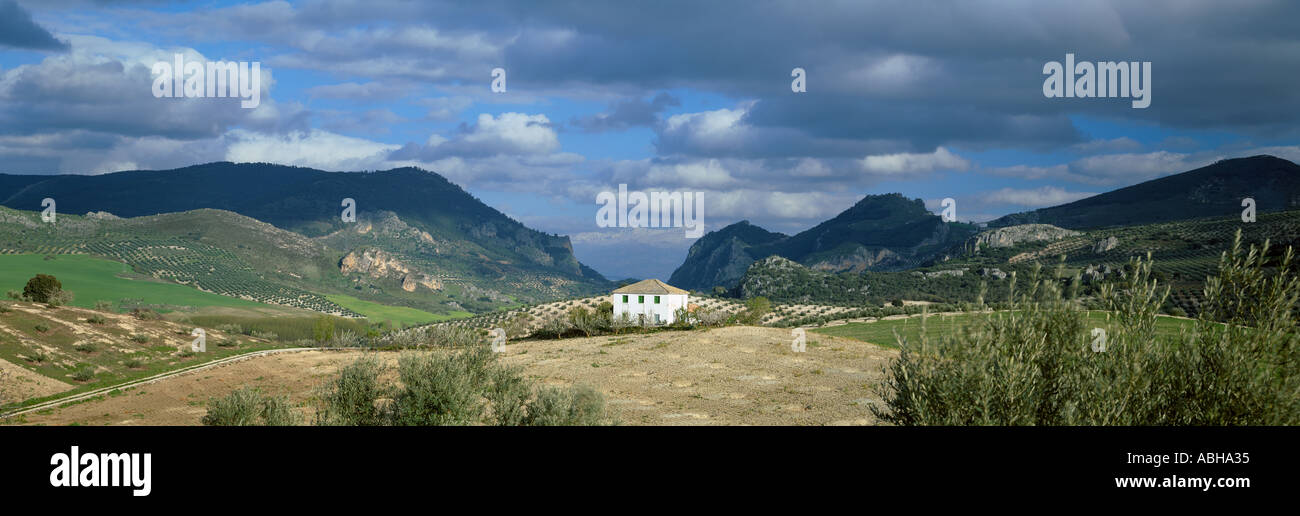 Farm house in rural scene andalucia spain Stock Photo - Alamy
