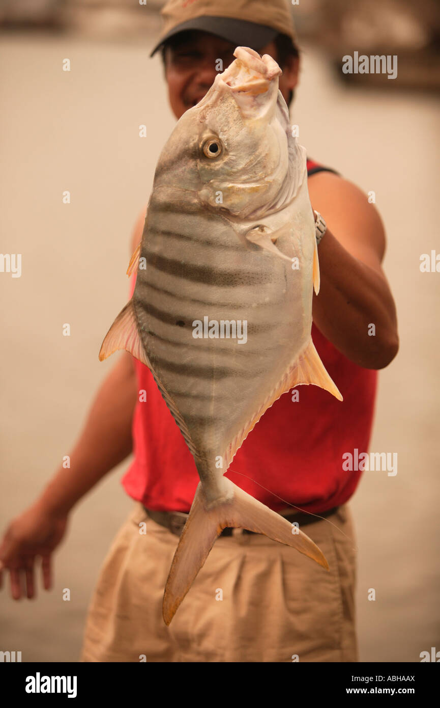 Jack trevally hi-res stock photography and images - Alamy