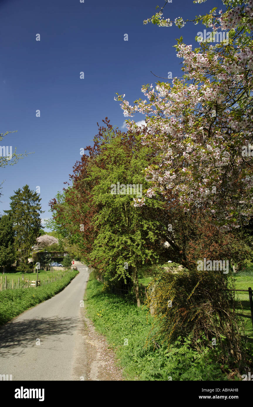 A country lane in the Cotswolds in England Stock Photo - Alamy