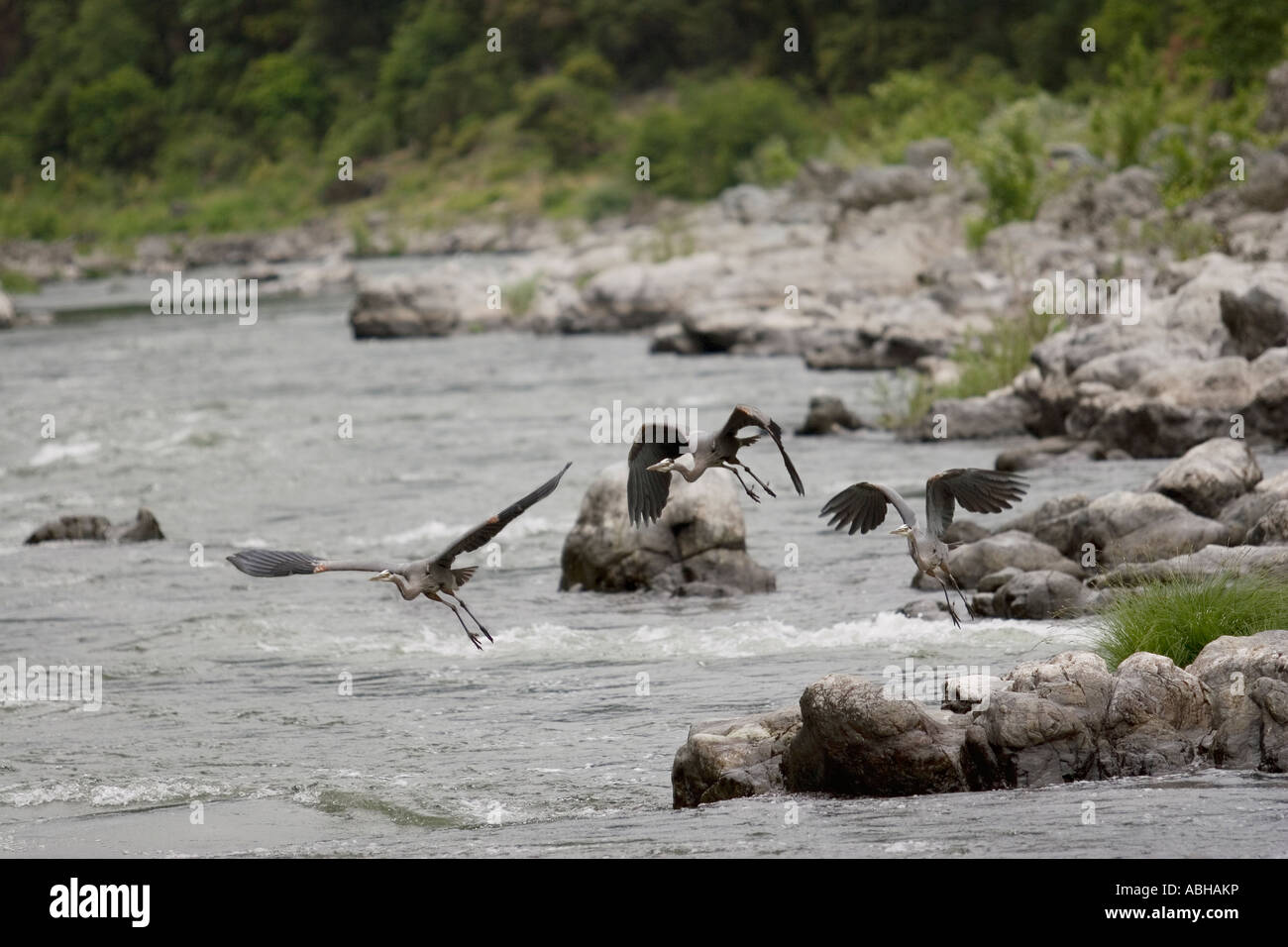 Stages of flight Stock Photo - Alamy