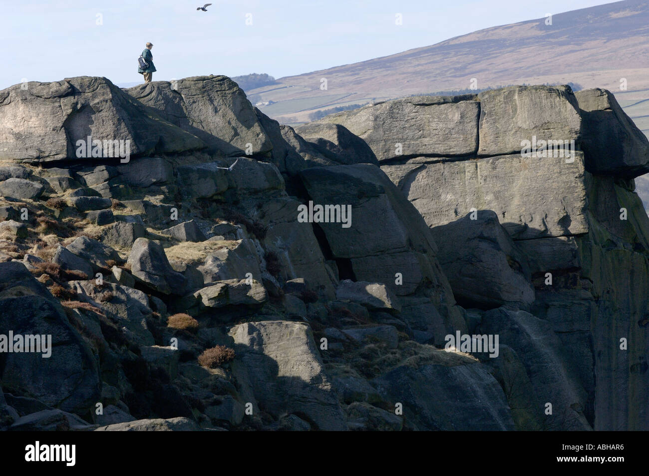 Man standing and looking over the edge of rock formation, Cow and Calf ...