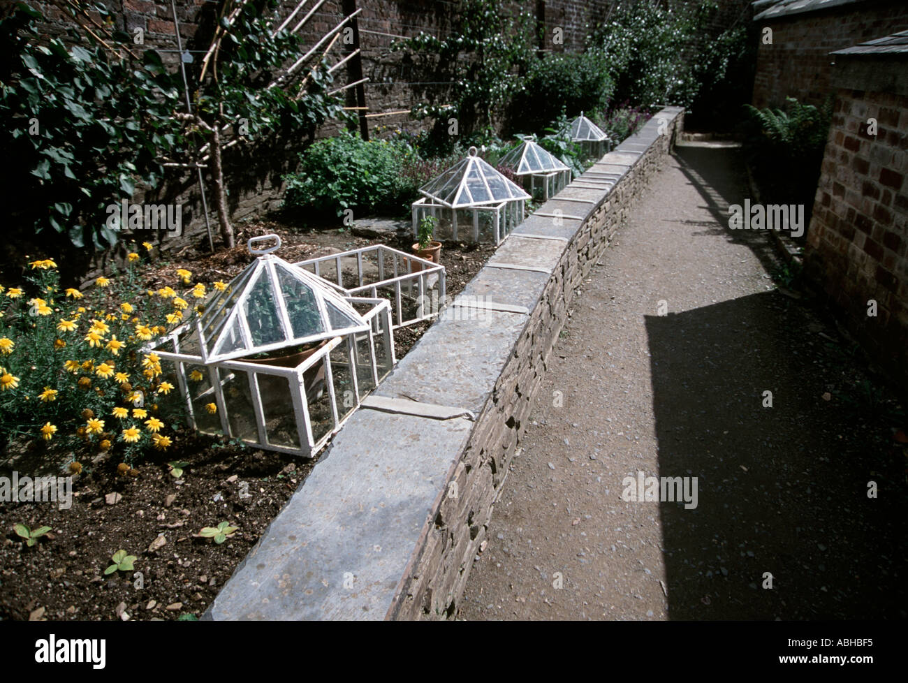 Glass house lost gardens heligan hi-res stock photography and images ...