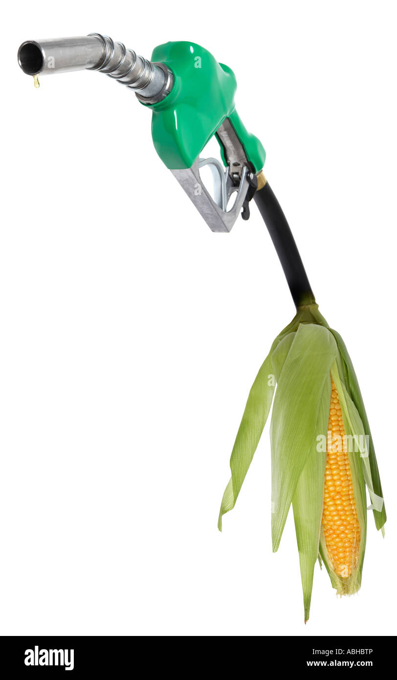 Total petrol station Cut Out Stock Images & Pictures - Alamy