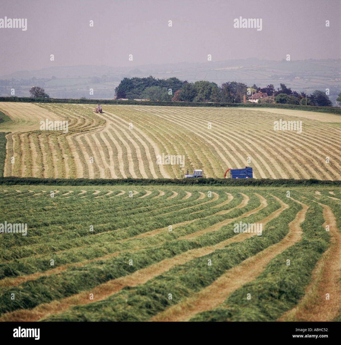 Rake lines hi-res stock photography and images - Alamy