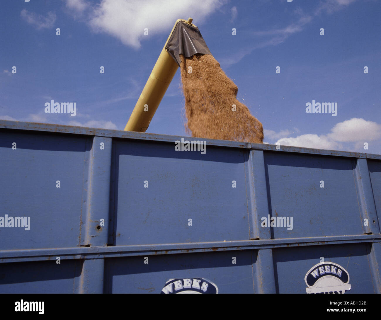Combine discharging grain hi-res stock photography and images - Alamy