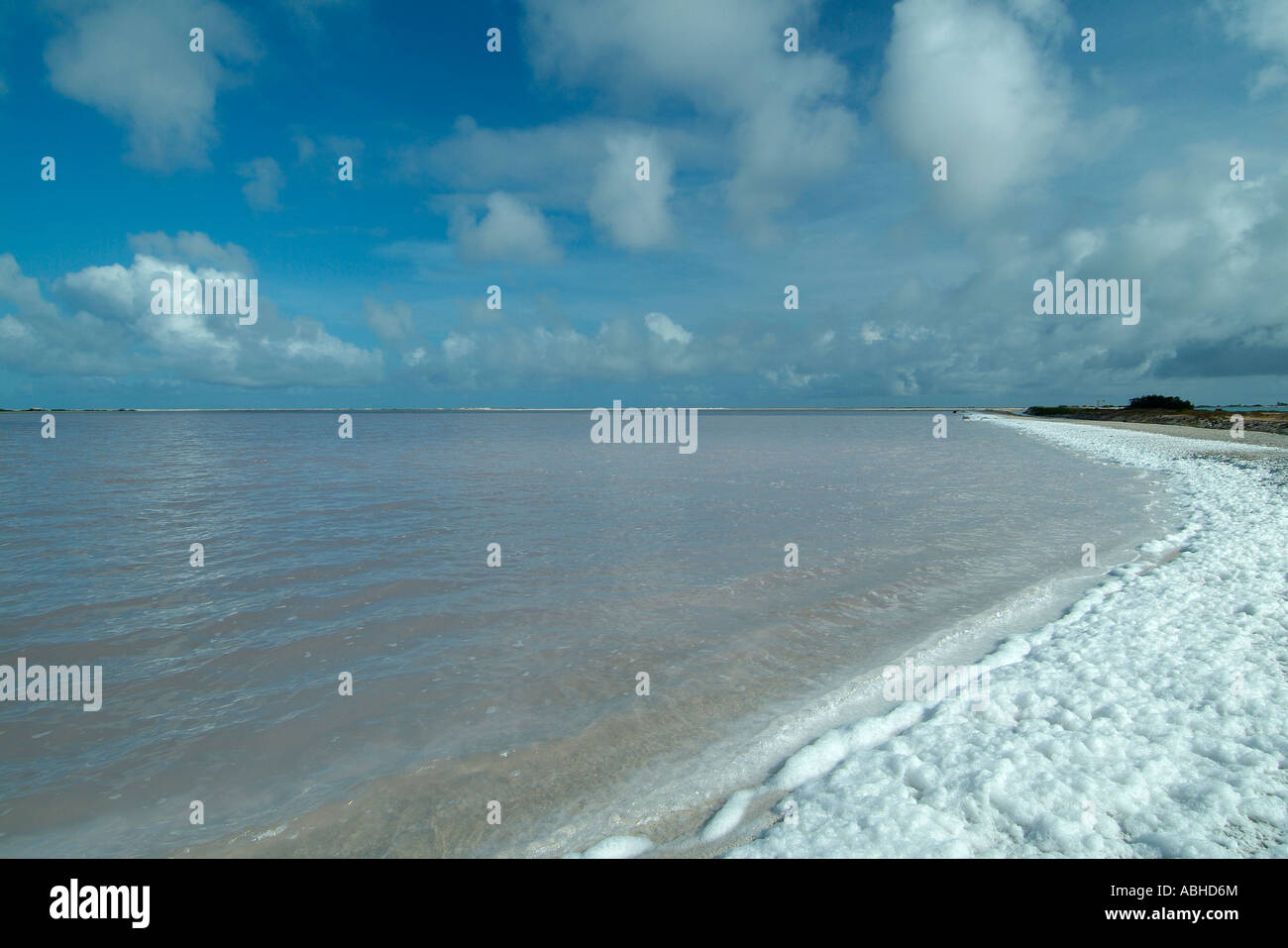 Salt lake in Bonaire Stock Photo - Alamy