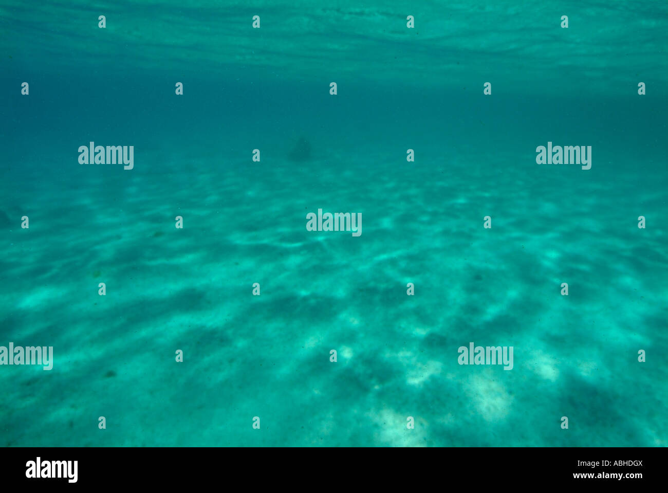 Ocean bottom hi-res stock photography and images - Alamy