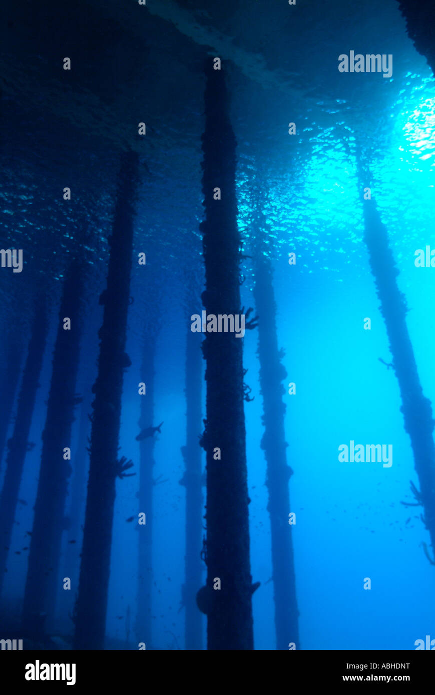 Pier Underwater Marine Structure High Resolution Stock Photography and ...