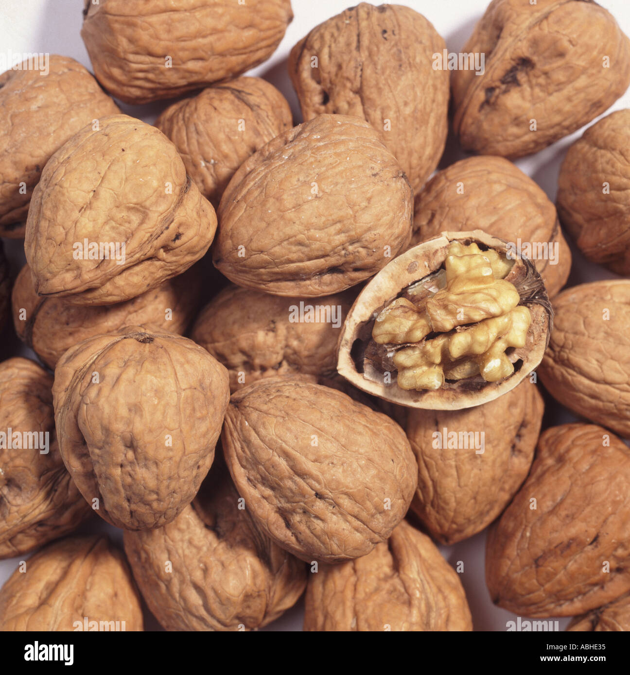 Inside walnut hi-res stock photography and images - Alamy